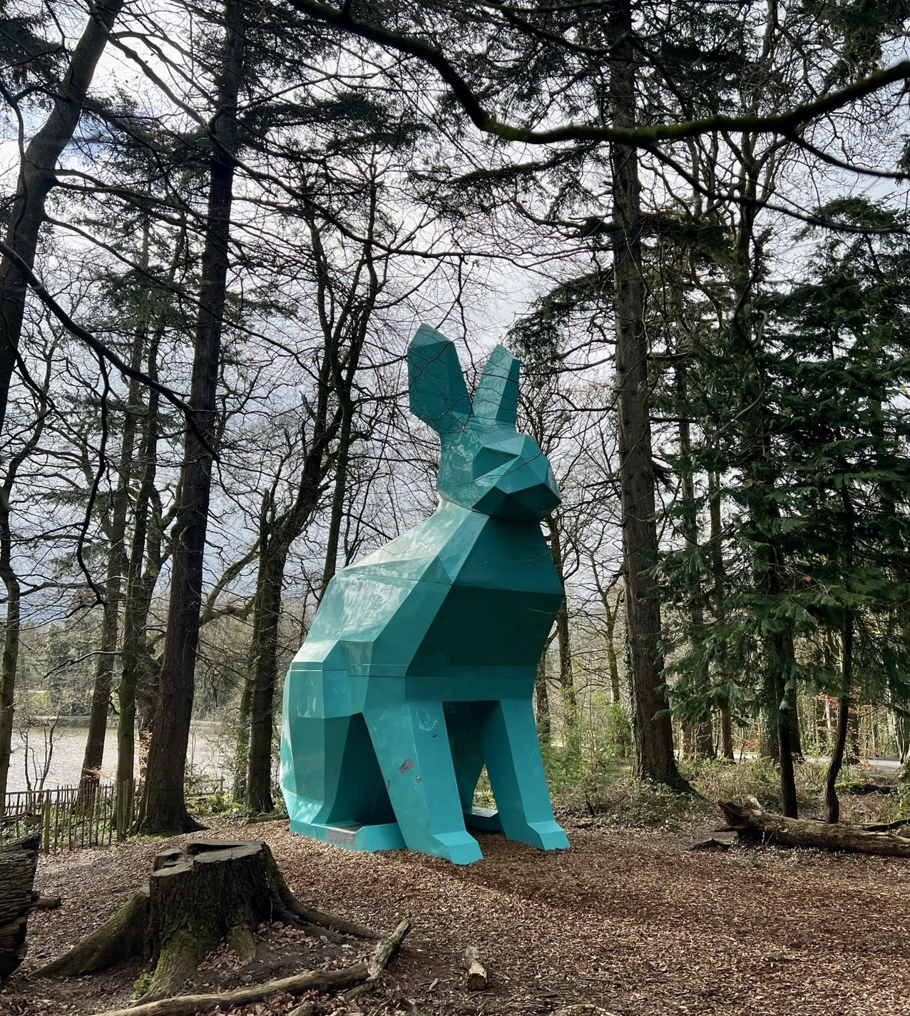 Wordless Wednesday – Rabbit! – WrookieSchU