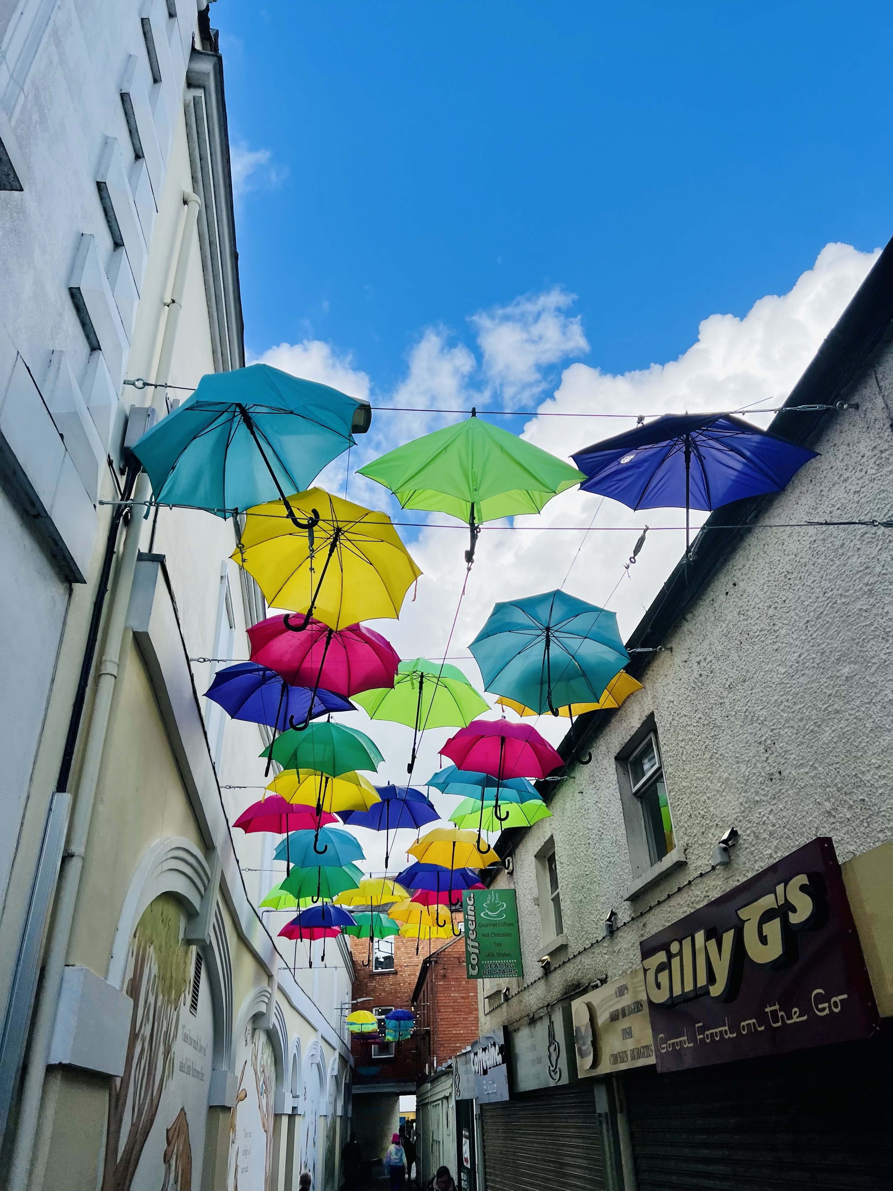 Wordless Wednesday – Brollies – WrookieSchU