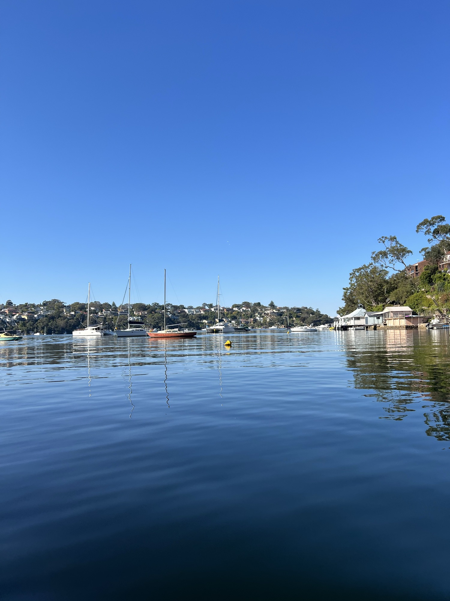 Port Hacking River Cruise – WrookieSchU