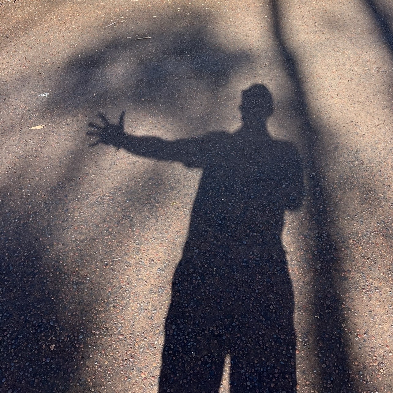 November Shadows # 30 – WrookieSchU