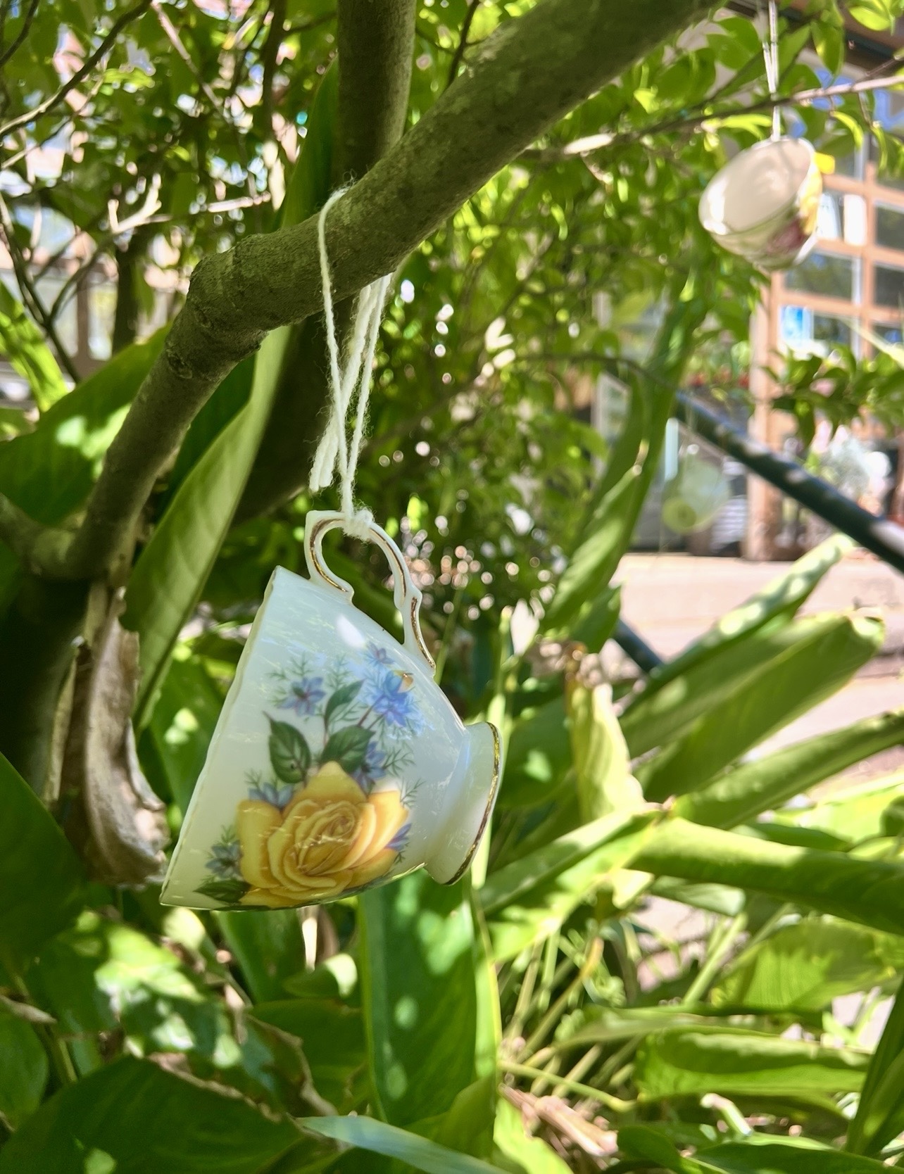 FOTD – Hanging cups – WrookieSchU