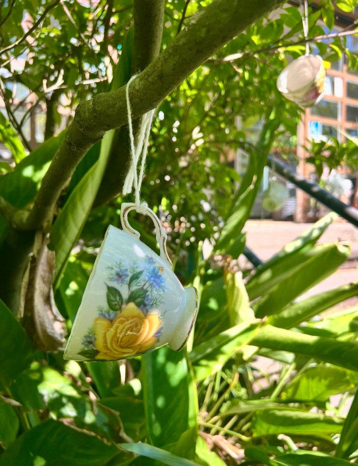 FOTD – Hanging cups – WrookieSchU